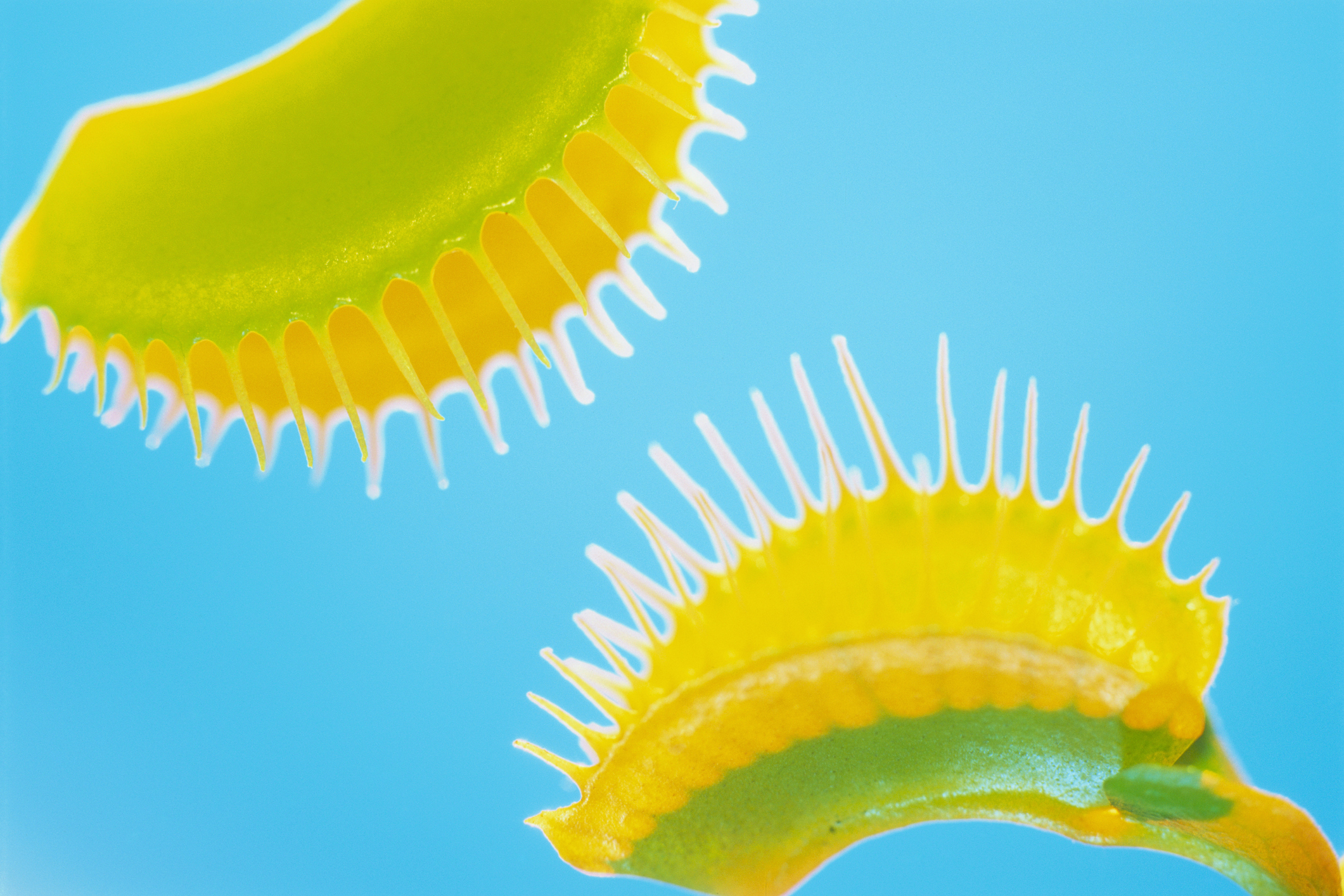 The 5 Coolest Things On Earth This Week | GE News