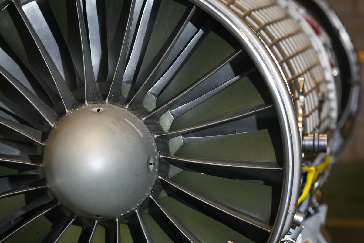 Sting in the tail: Hornets live to fly another day | GE News